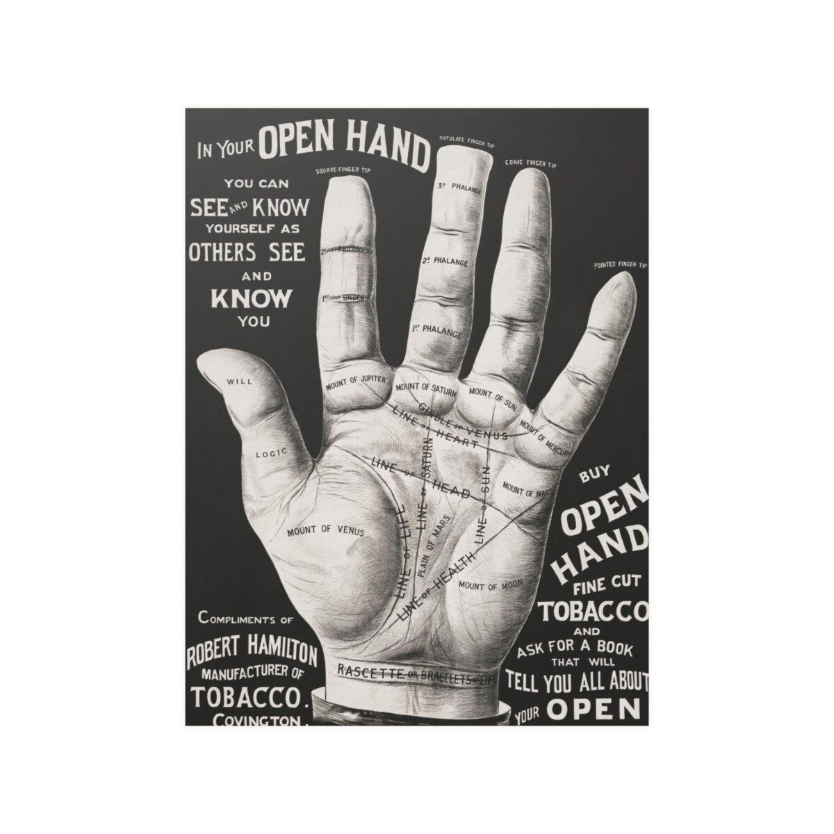 Open Hand, Palm Reading | Poster | - Etsy