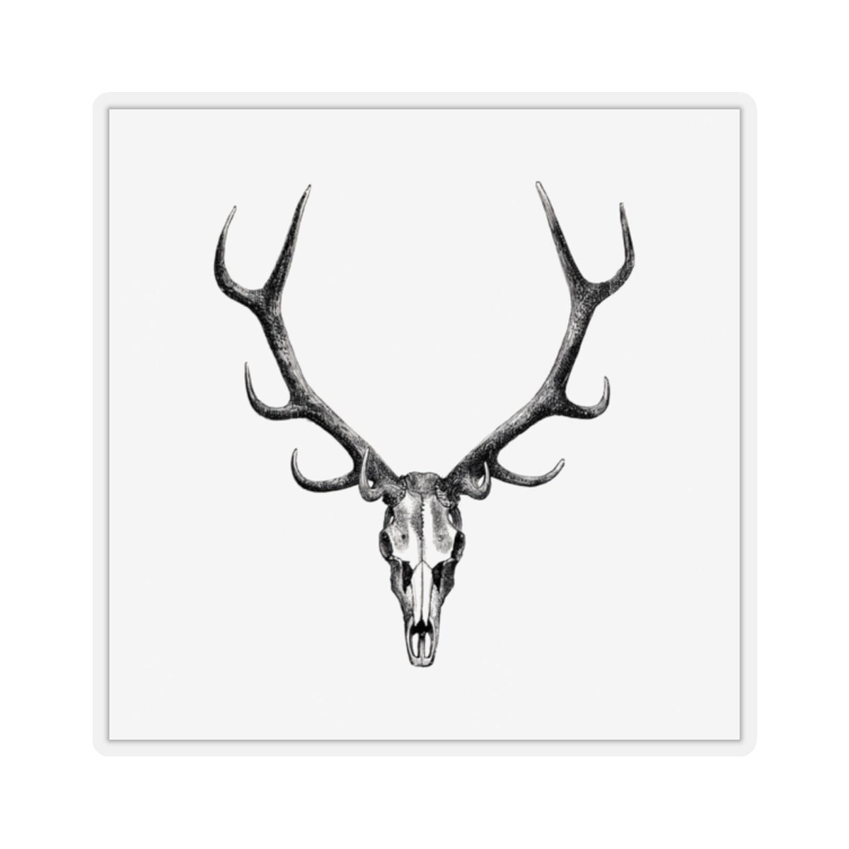Vintage Stag Skull Sticker | Stag Skull Drawing | Sticker - Etsy