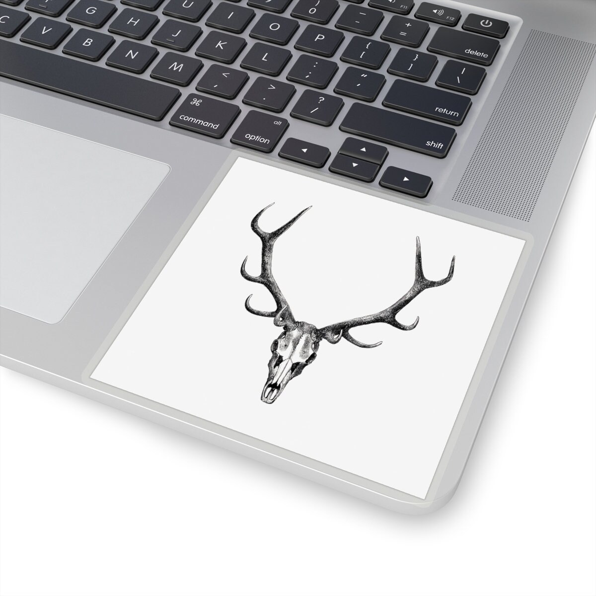 Vintage Stag Skull Sticker | Stag Skull Drawing | Sticker - Etsy