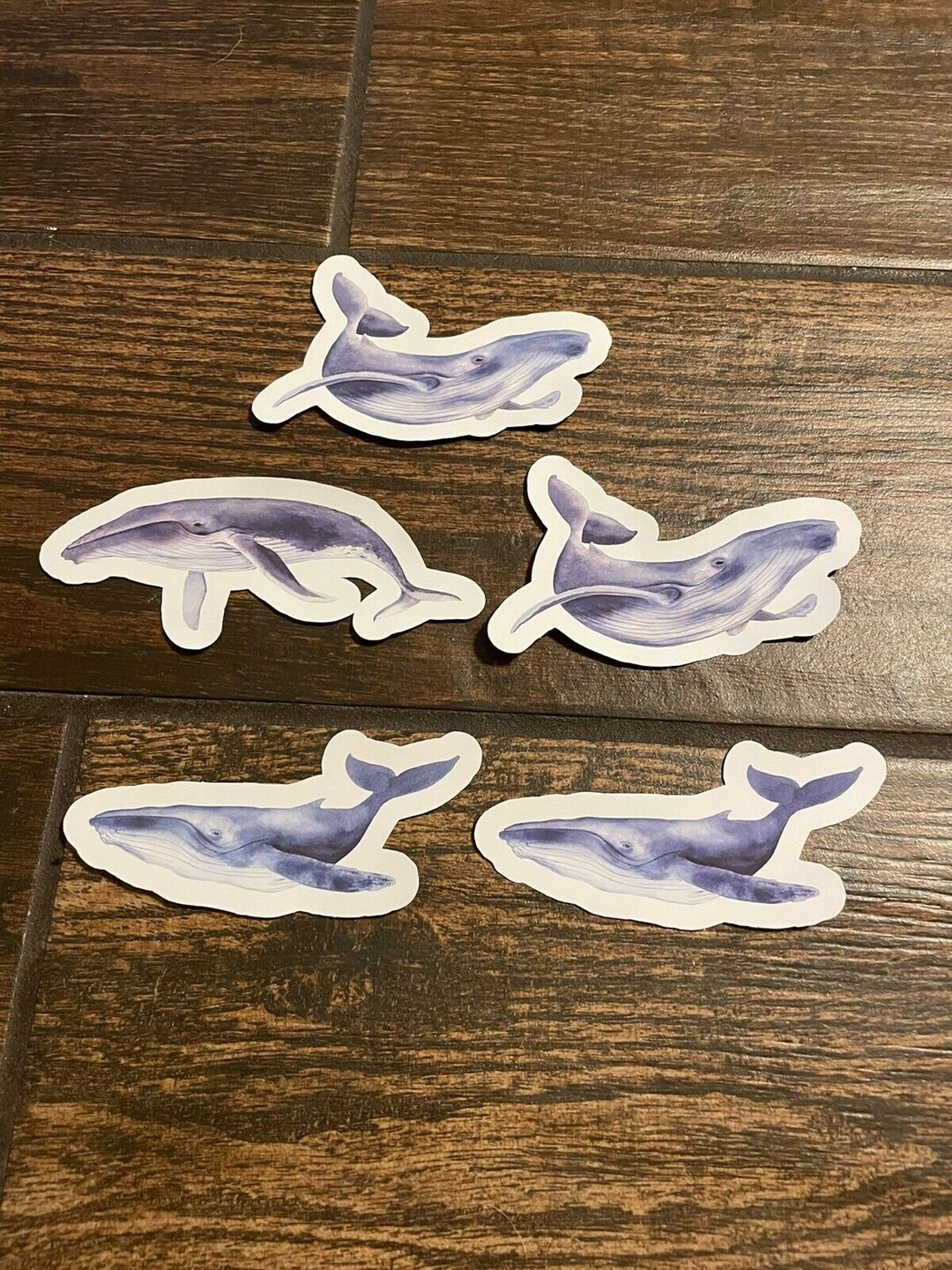 Whale Vinyl Stickers Humpback Sea Creature Ocean Decal Beach - Etsy