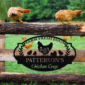 Custom Farm Fresh Eggs Sign: Personalized Chicken Coop Decor - Etsy
