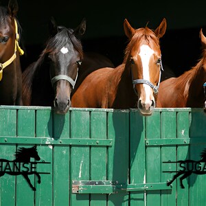 Personalized Horse Stall Sign: Ranch Barn Decor, Custom Metal Name ...