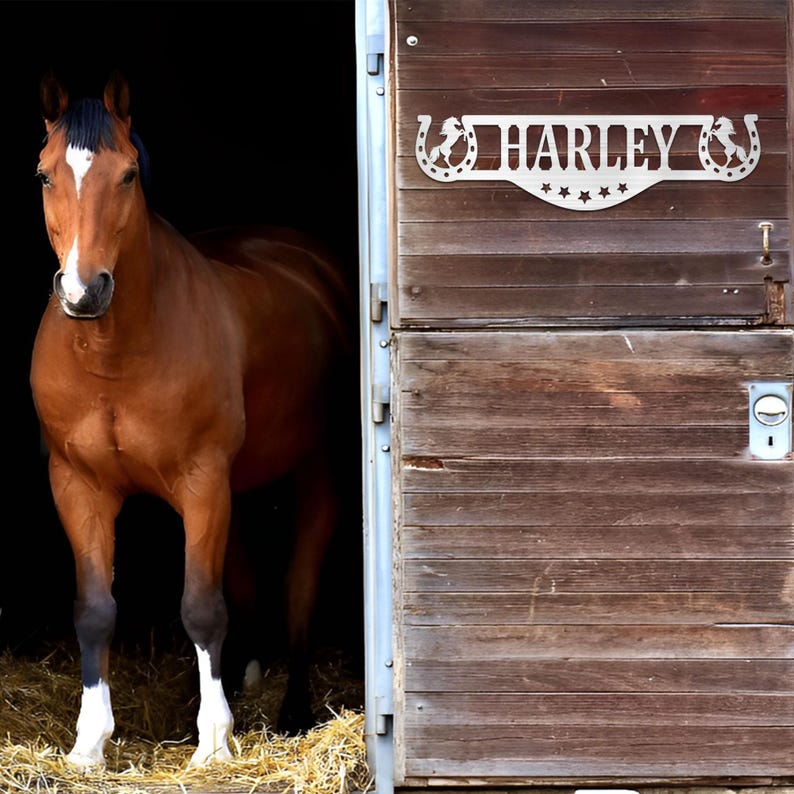 Personalized Horse Stall Name Plate: Metal Barn Decor - Etsy