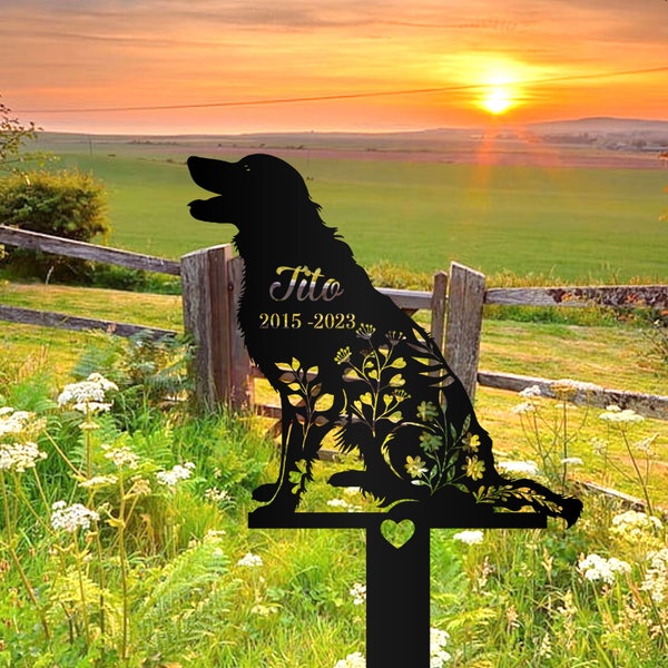 Border Collie Art - Etsy