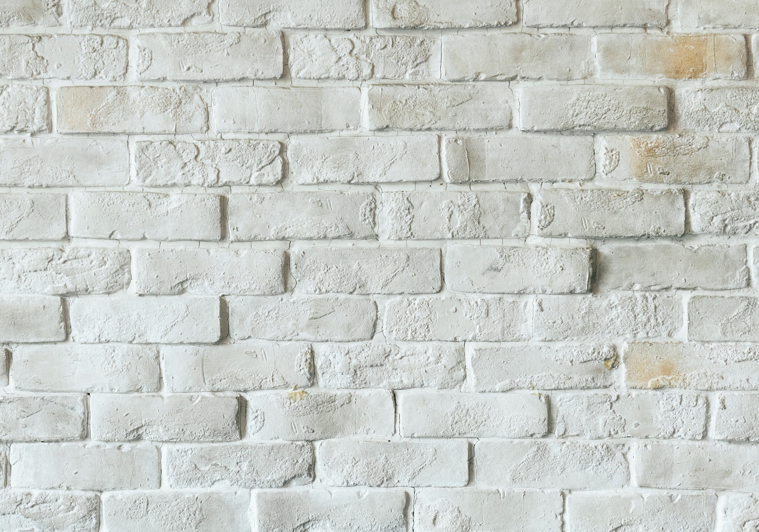 Zoom Background Zoom Meeting Virtual Background Zoom - Etsy