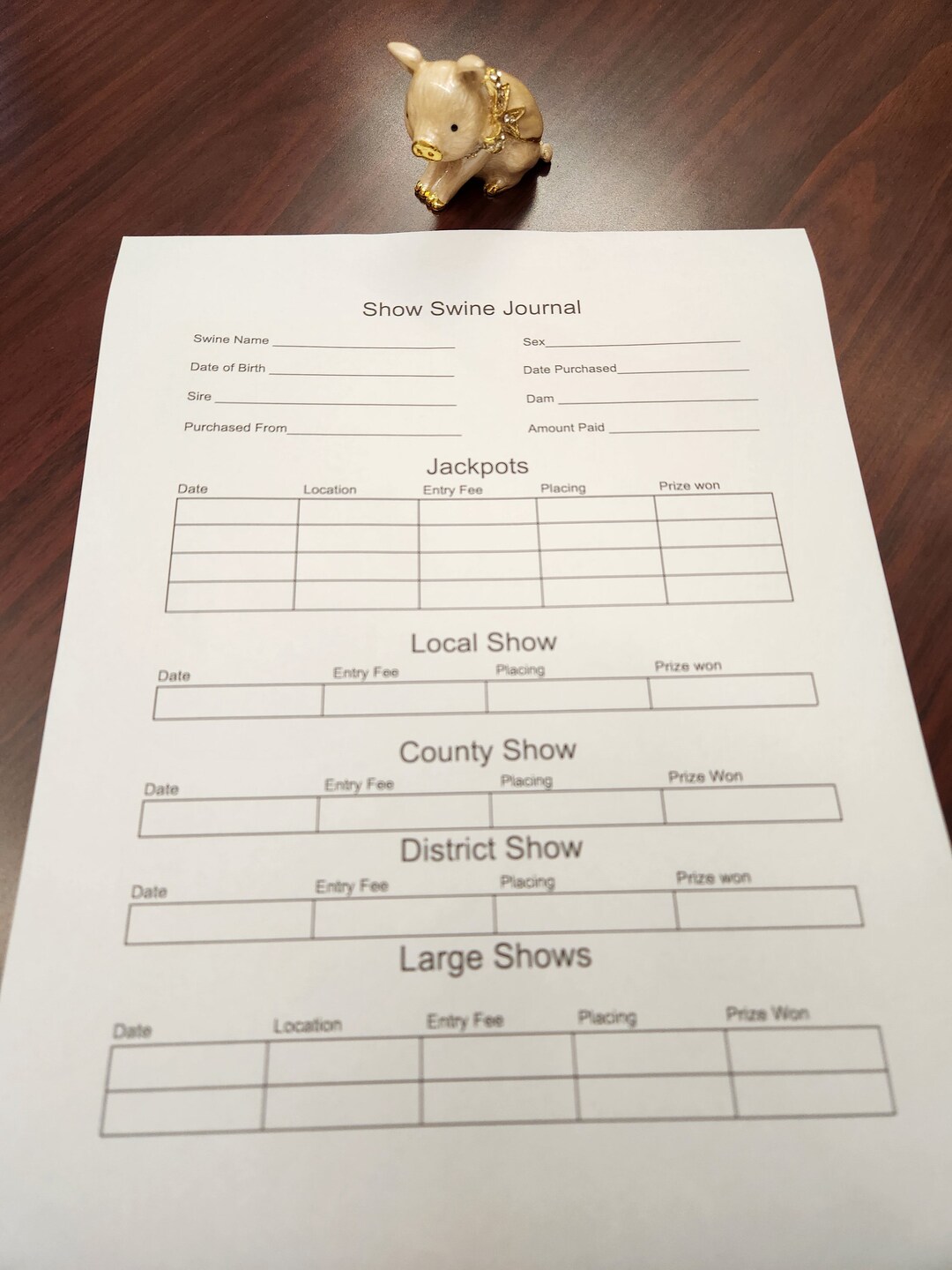 4-H/FFA Swine Project Journal - Etsy