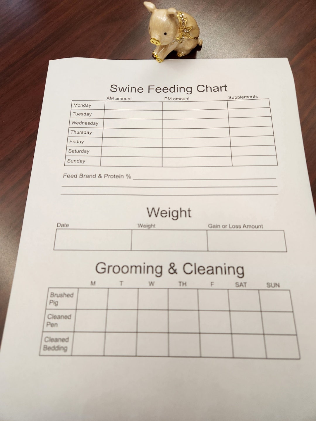 FFA/4-H Swine Feeding Journal - Etsy
