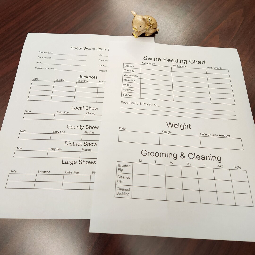 4-H FFA Swine Record Keeping Livestock - Etsy