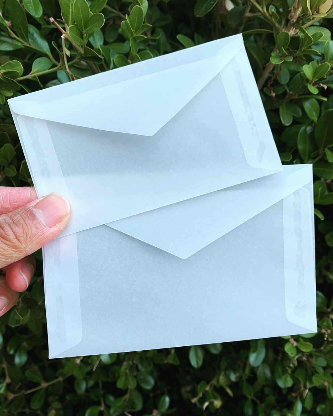 Frosted Clear Envelopes Whole Lotto Love Lottery Ticket || Seeds Favors ...