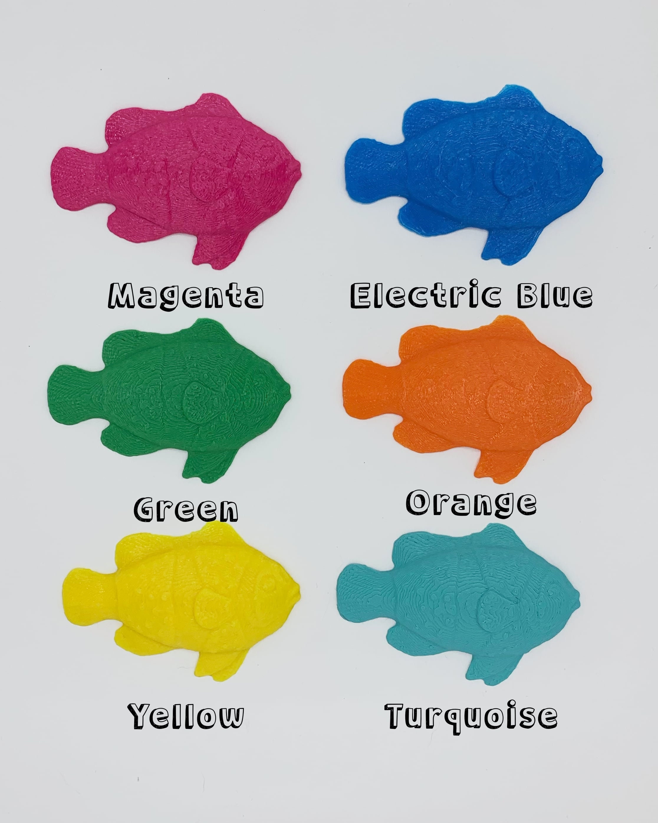 Classical Conversations Magnetic Fishing Review Game - Etsy