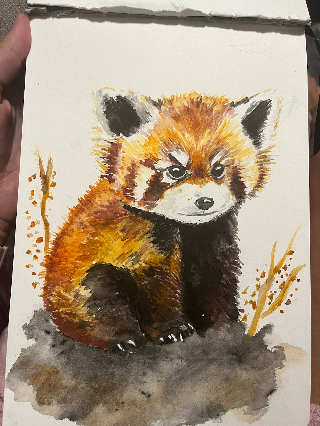 Watercolor Painting Red Panda, Hand-painted - Etsy