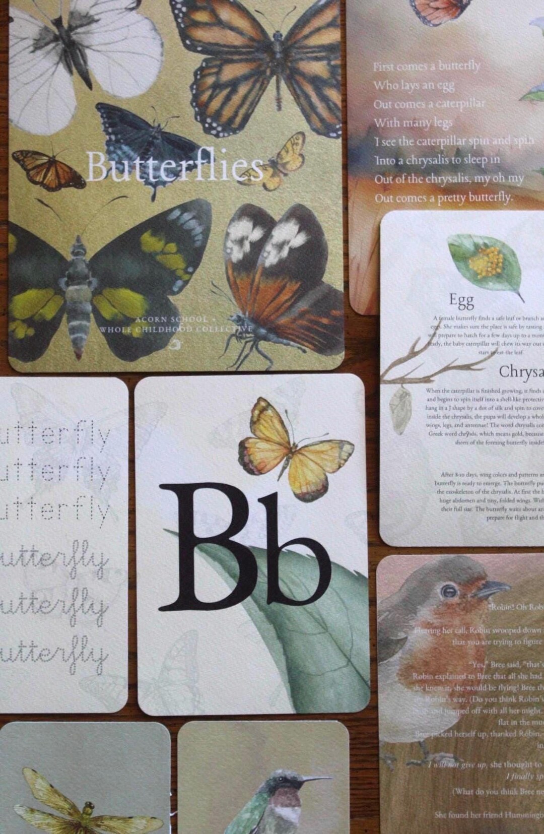 Butterflies Bilingual Unit Study: Flashcards & Story - Etsy