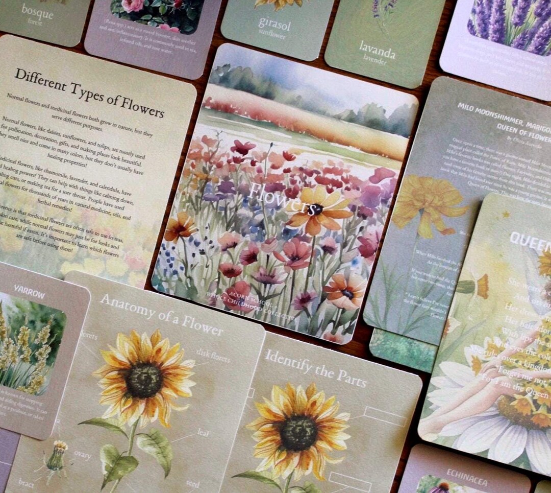 Flowers Bilingual Unit Study: Flashcards & Craft Ideas - Etsy