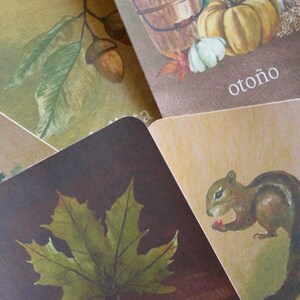 Acorn Bilingual Unit Study: Seasonal Learning - Etsy