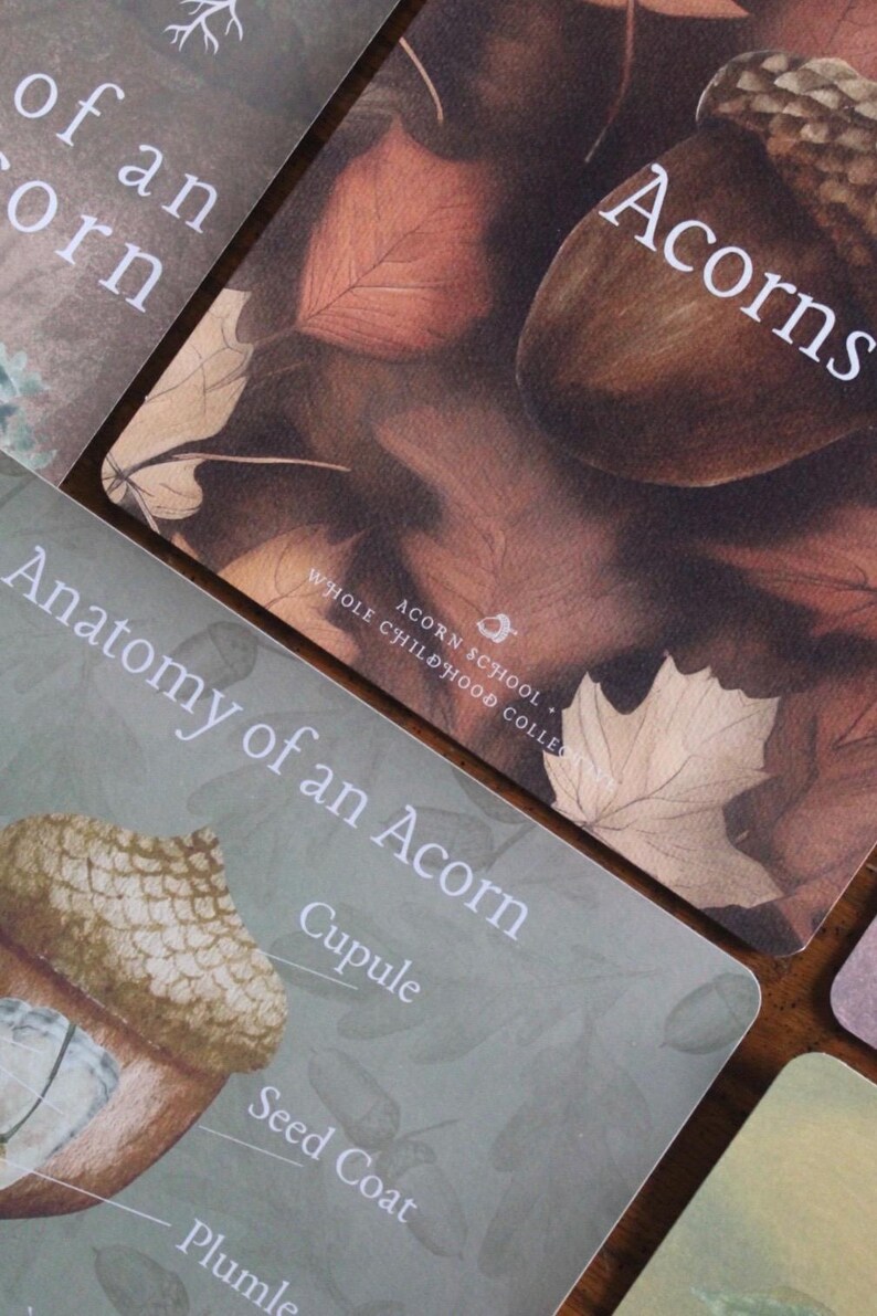 Acorn Bilingual Unit Study: Seasonal Learning - Etsy