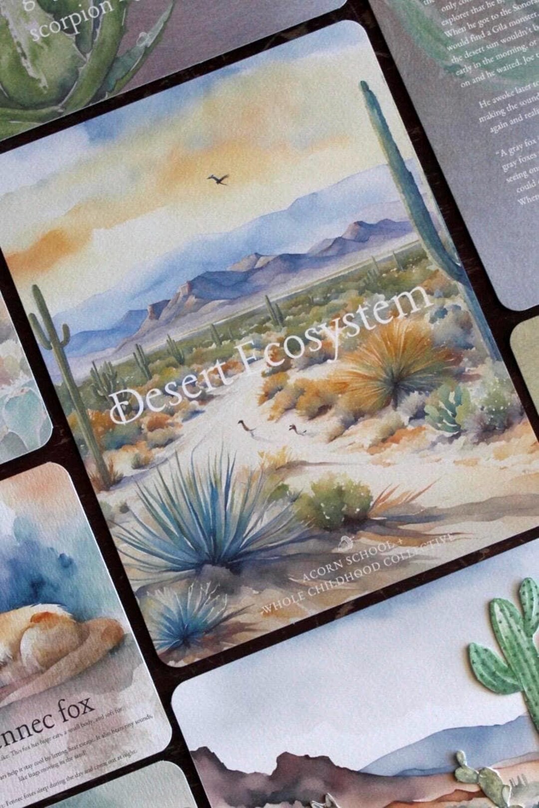 Desert Ecosystem - Etsy