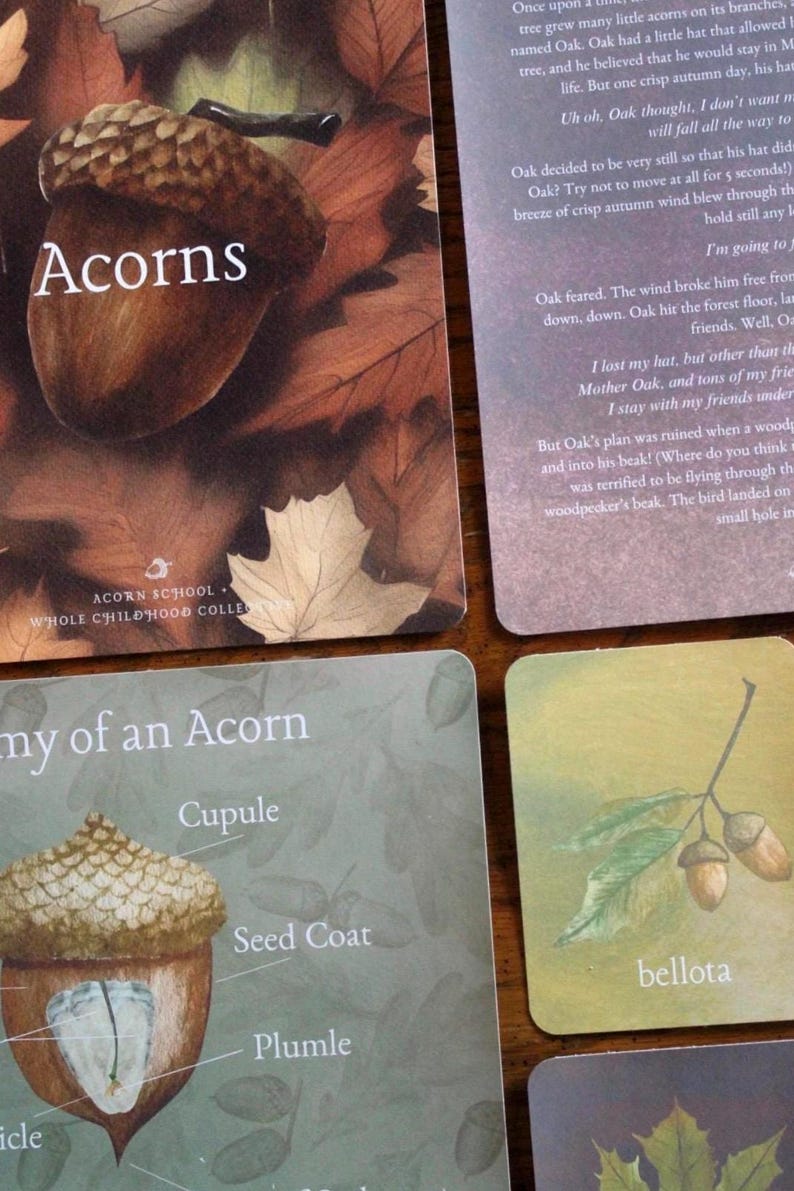 Acorn Bilingual Unit Study: Seasonal Learning - Etsy