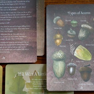 Acorn Bilingual Unit Study: Seasonal Learning - Etsy
