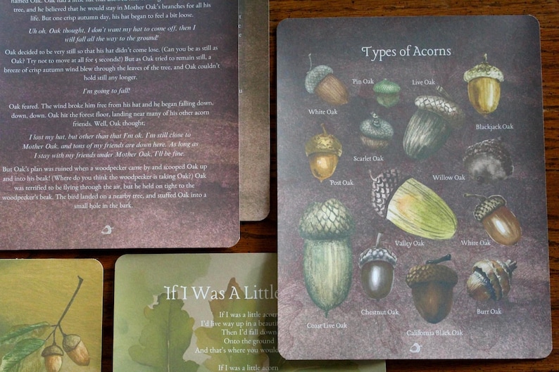 Acorn Bilingual Unit Study: Seasonal Learning - Etsy
