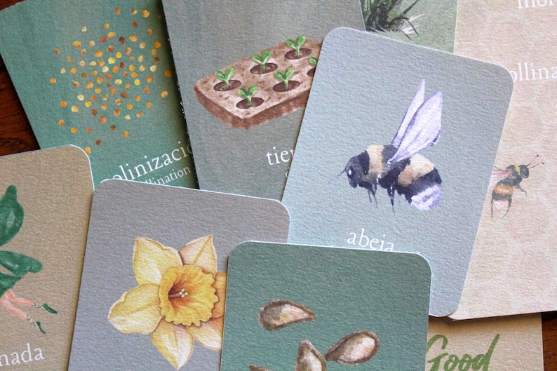 Gardening Bilingual Unit Study: Flashcards & Craft (PDF) - Etsy