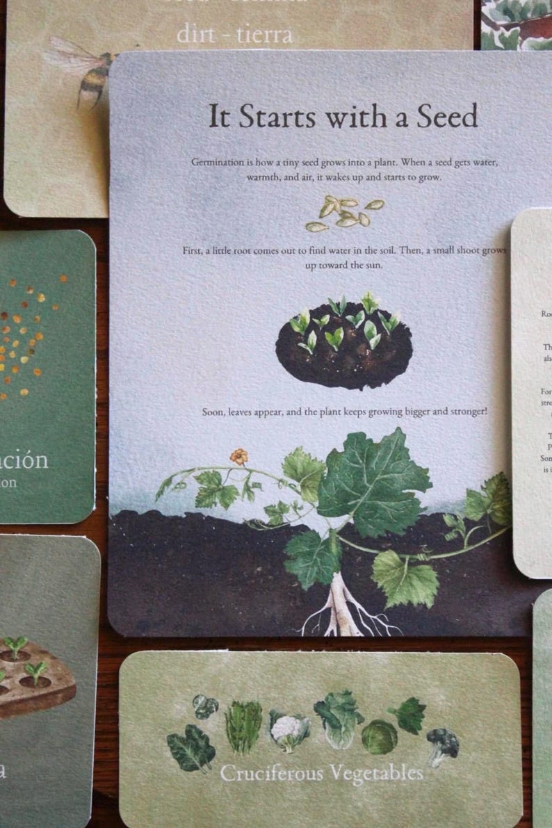 Gardening Bilingual Unit Study: Flashcards & Craft (PDF) - Etsy