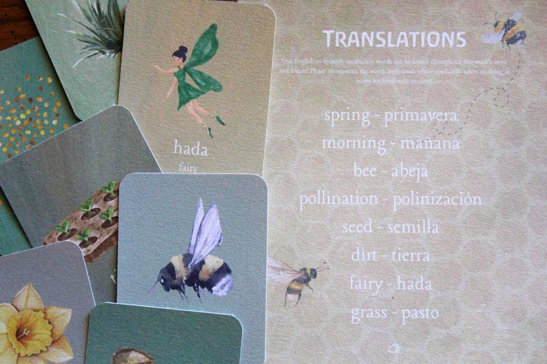 Gardening Bilingual Unit Study: Flashcards & Craft (PDF) - Etsy
