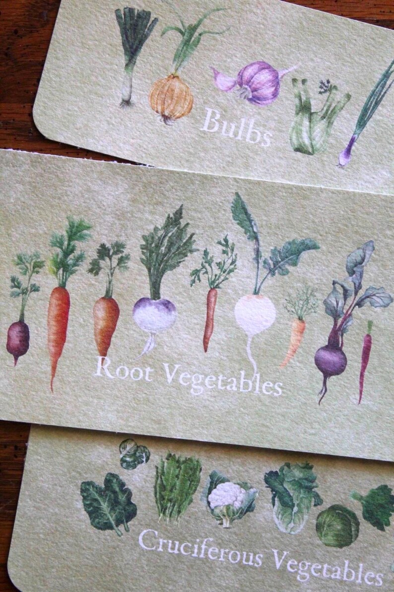 Gardening Bilingual Unit Study: Flashcards & Craft (PDF) - Etsy