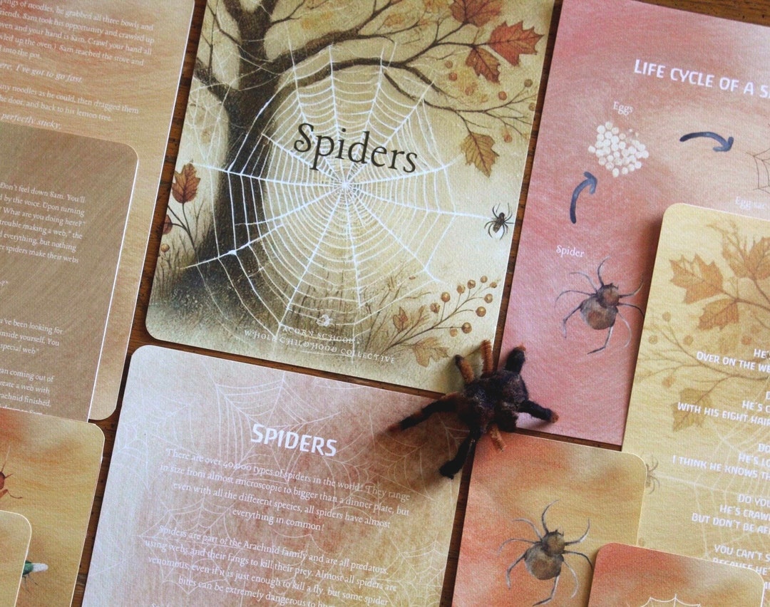 Spiders Bilingual Unit Study: Flashcards & Mini-unit - Etsy
