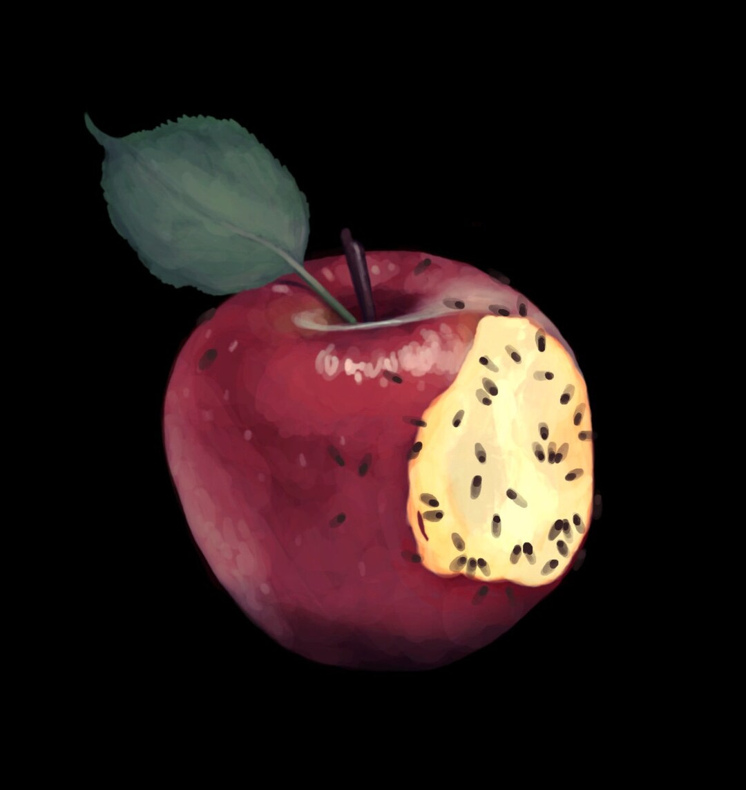 Giclée Art Mini-print, Bitten Apple, Fruit Flies, Rotting, Decay - Etsy