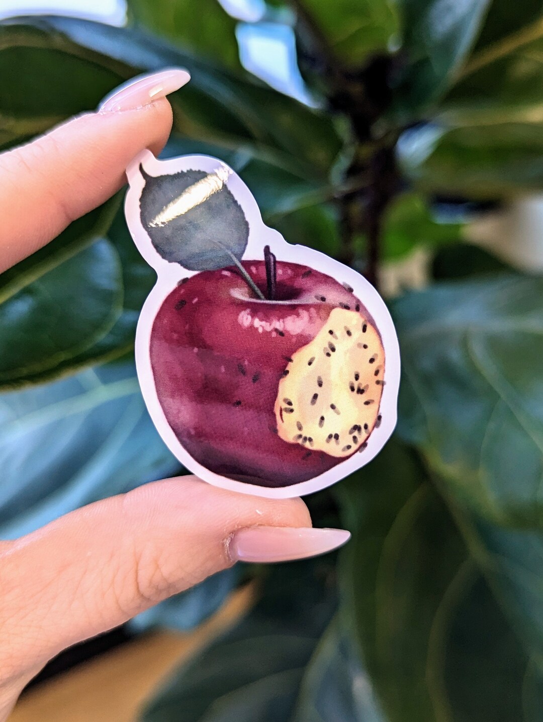 2 Vinyl Sticker, Rotting Apple, Fruit Flies - Etsy