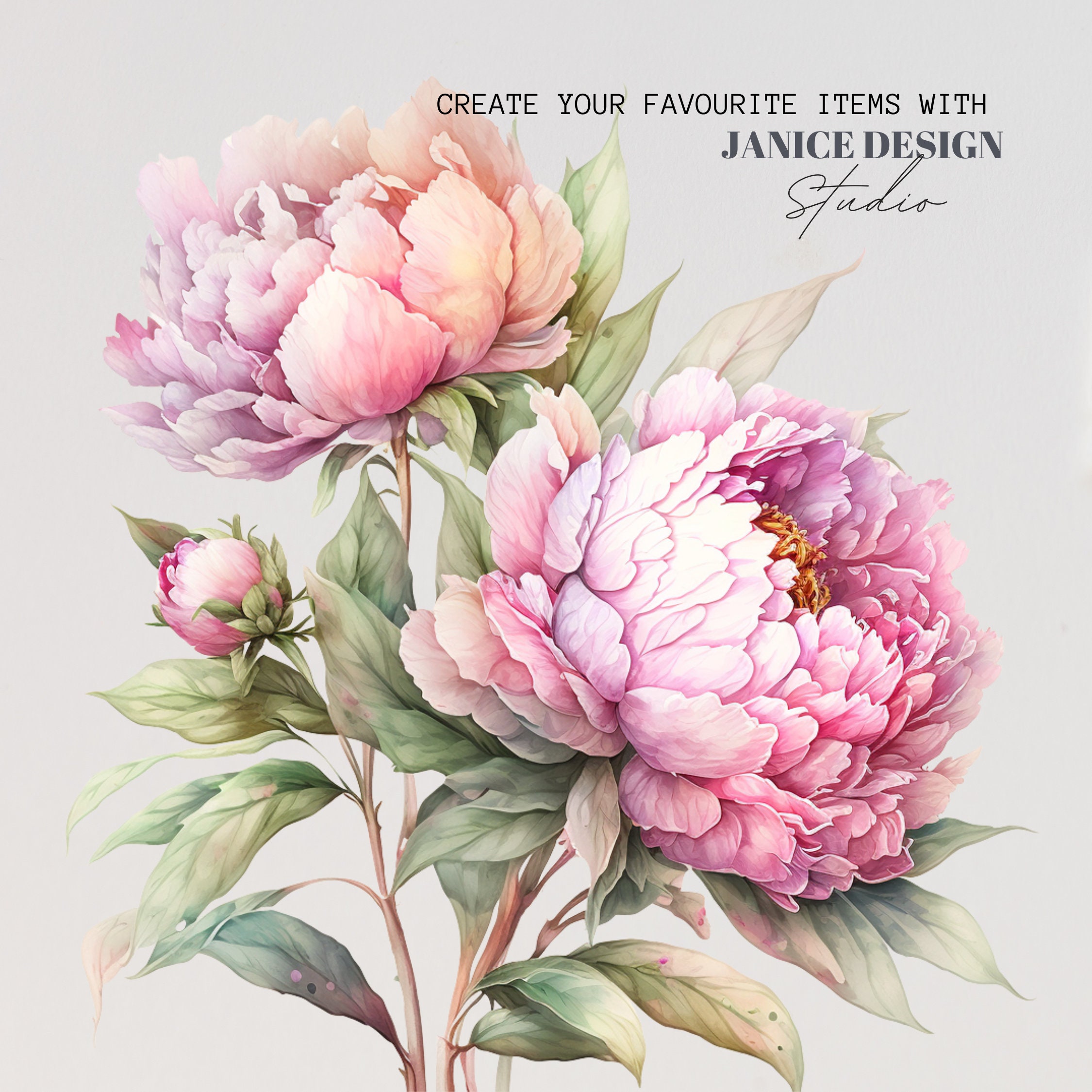Watercolor Peonies Clipart, Peony Clip Art, Flower Clipart, Watercolor ...