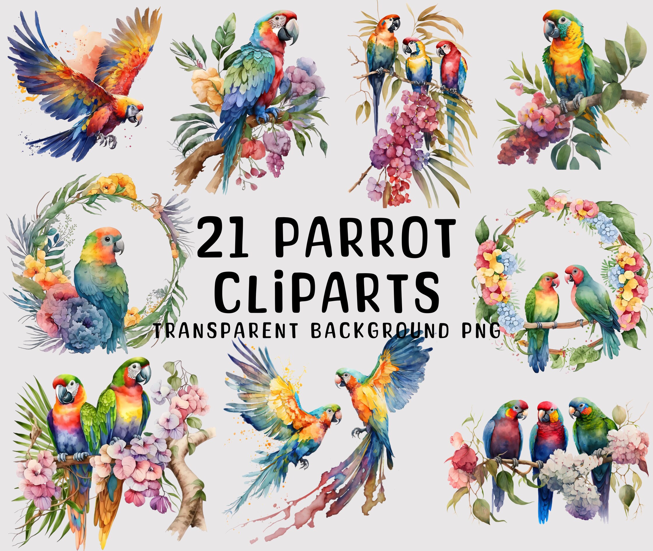 Watercolor Colorful Parrot Clipart Colorful Parrots With - Etsy
