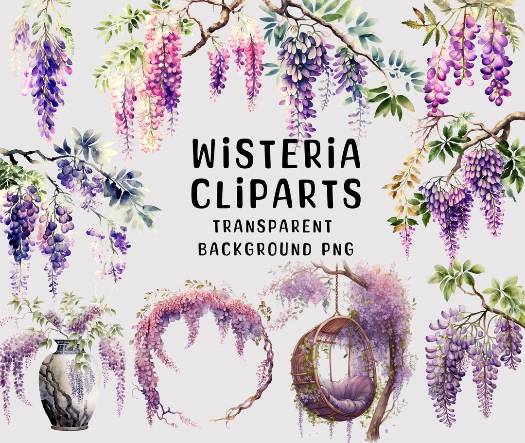 Watercolor Wisteria Clipart PNG, Floral Clipart, Wisteria Clipart ...