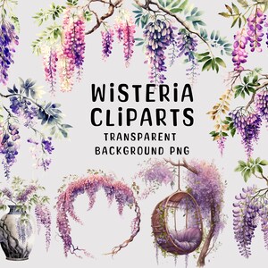 Watercolor Wisteria Clipart PNG, Floral Clipart, Wisteria Clipart ...