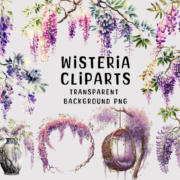 Wisteria - Etsy