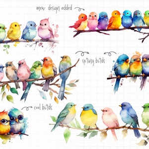Watercolor Bird Set PNG, Cute Spring Bird, Watercolor Clipart, Birds ...