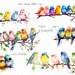 Watercolor Bird Set PNG Cute Spring Bird Watercolor Clipart - Etsy
