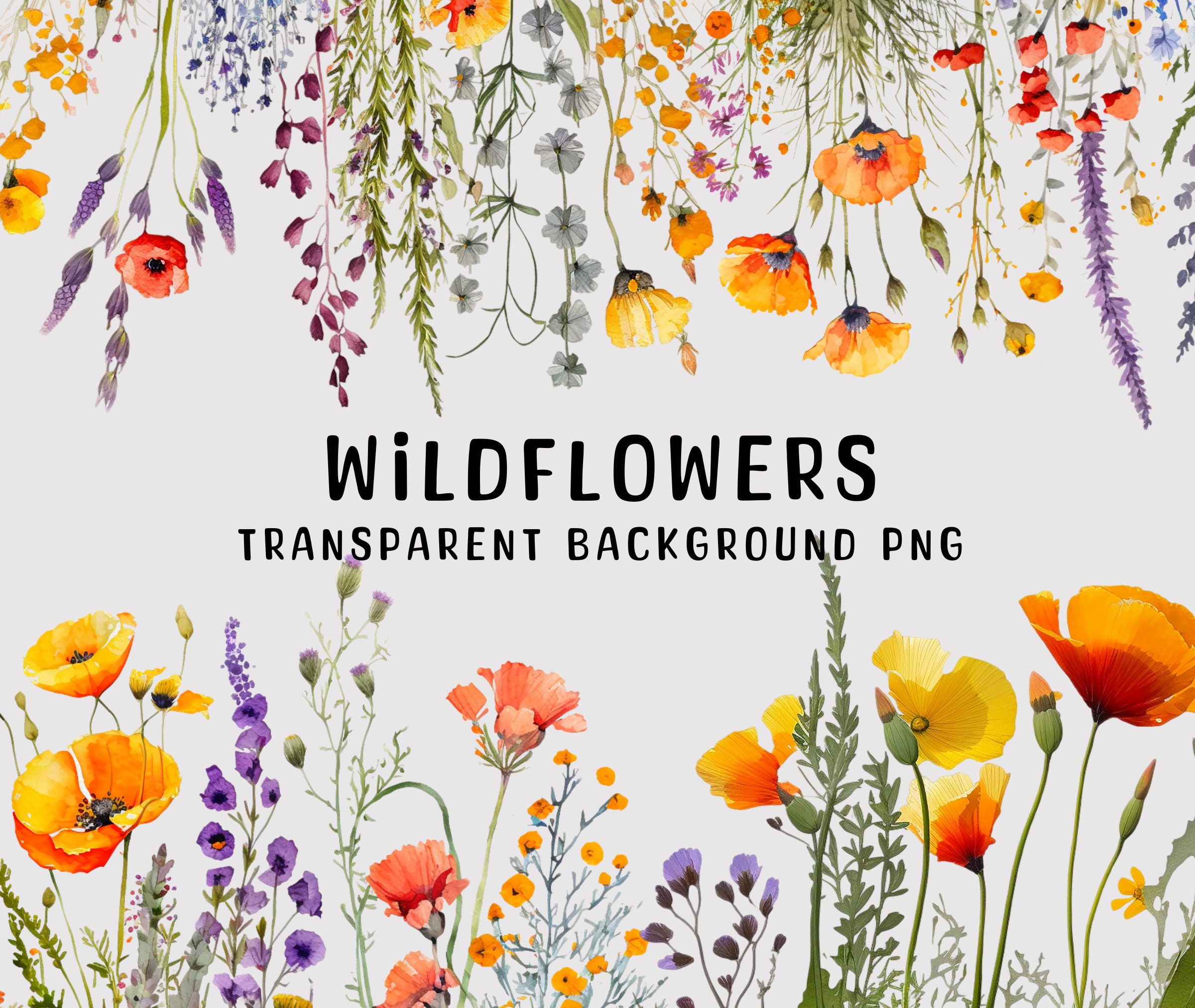 Watercolor Spring Wildflower Floral Png Floral Clip Art - Etsy