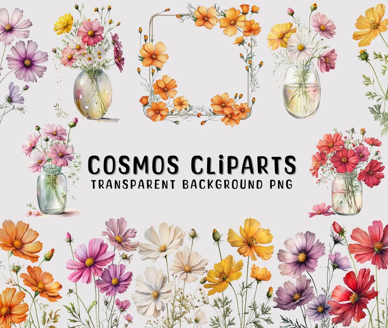 Watercolor Cosmos Clipart, Watercolor Clipart, Flowers Clipart ...