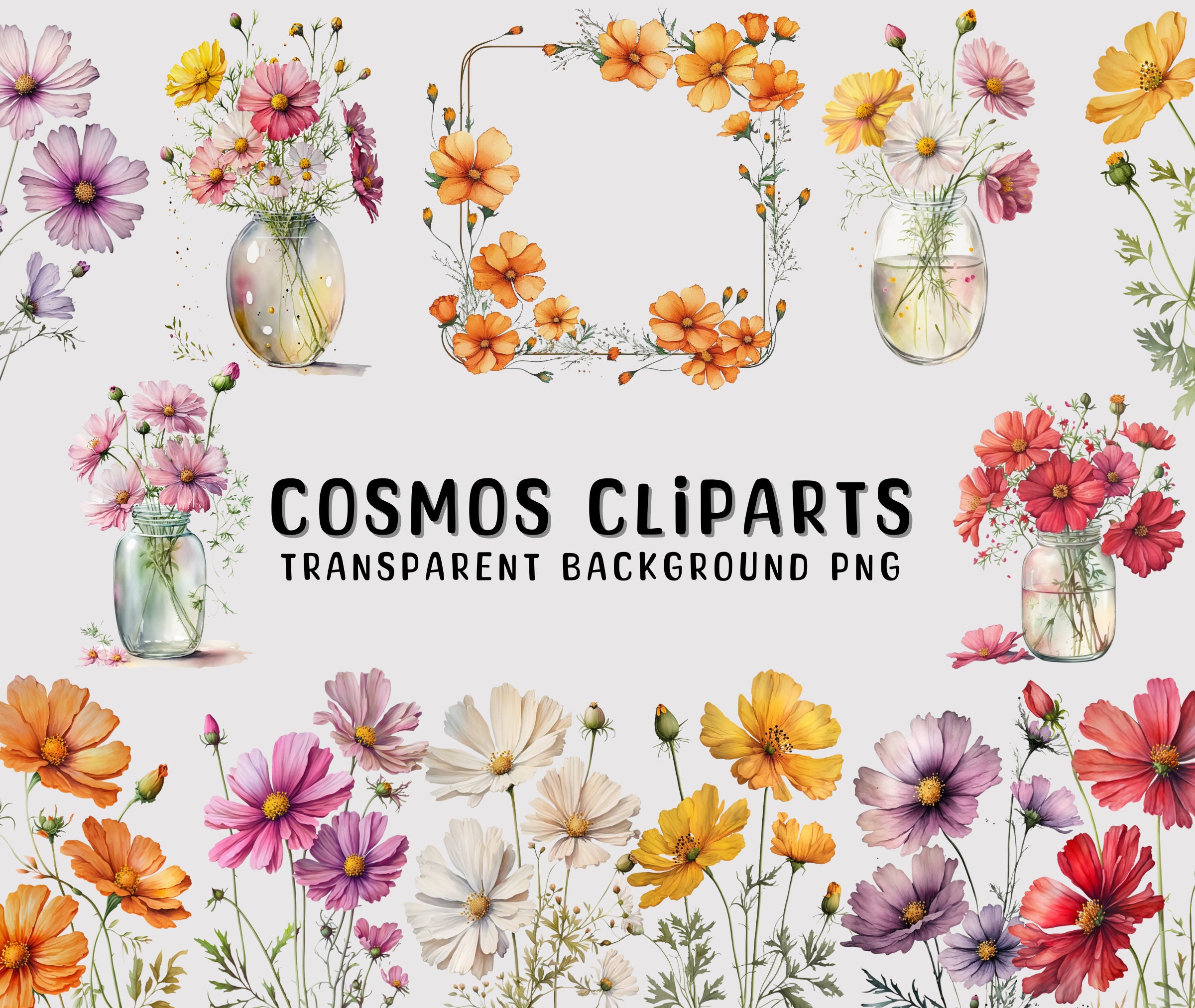 Watercolor Cosmos Clipart, Watercolor Clipart, Flowers Clipart ...