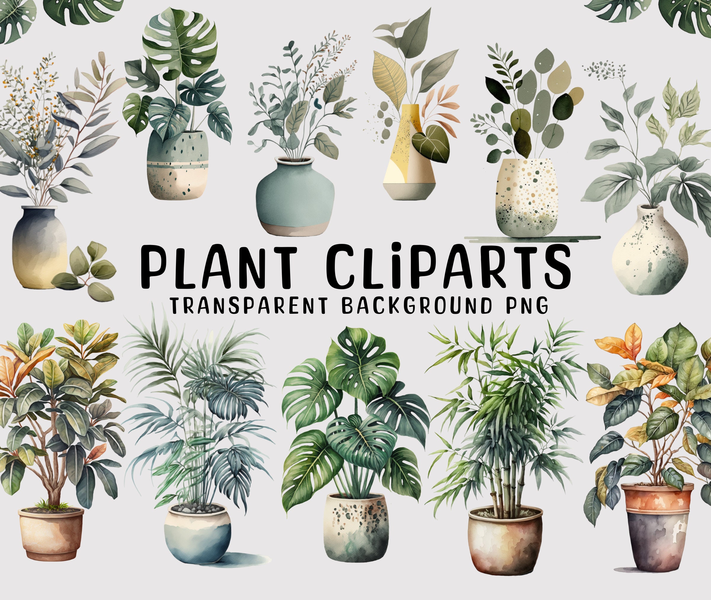 Watercolor Potted Plants Clipart House Plants Watercolor - Etsy