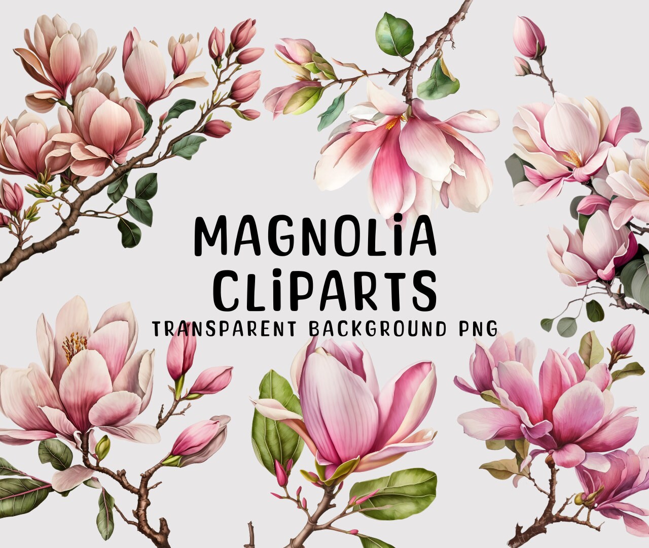 Free Magnolia Clipart