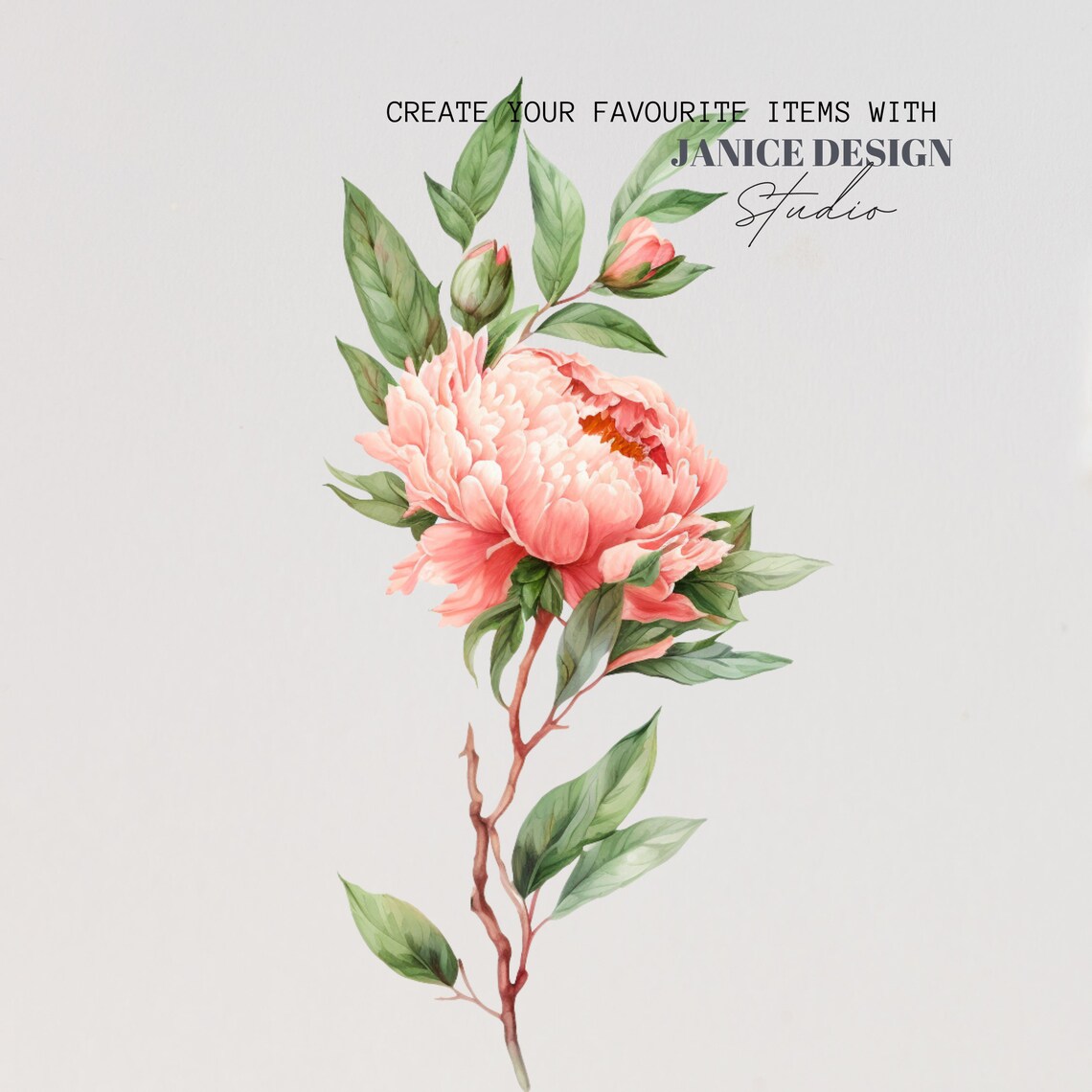 Watercolor Peonies Clipart Peony Clip Art Flower Clipart - Etsy