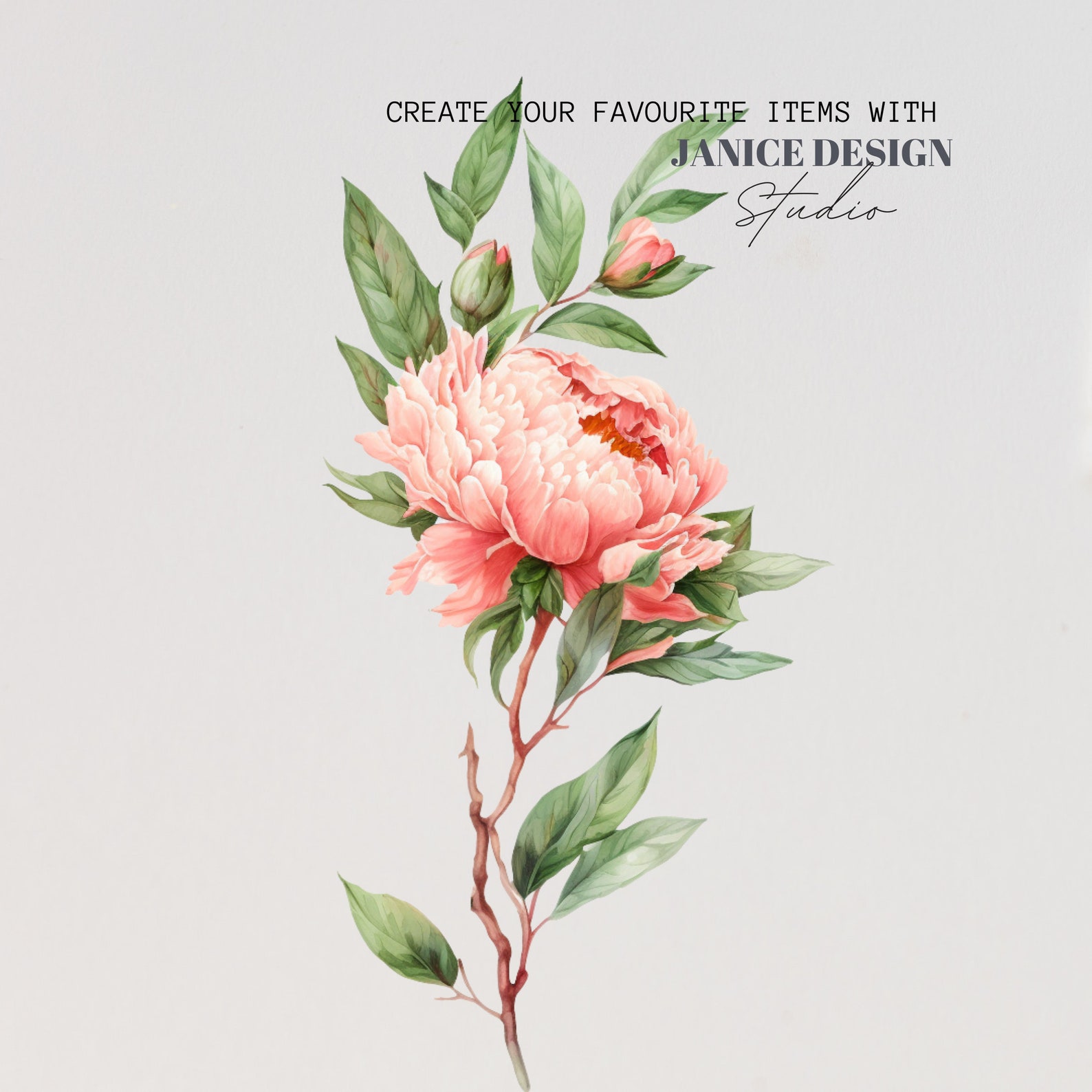 Watercolor Peonies Clipart Peony Clip Art Flower Clipart - Etsy