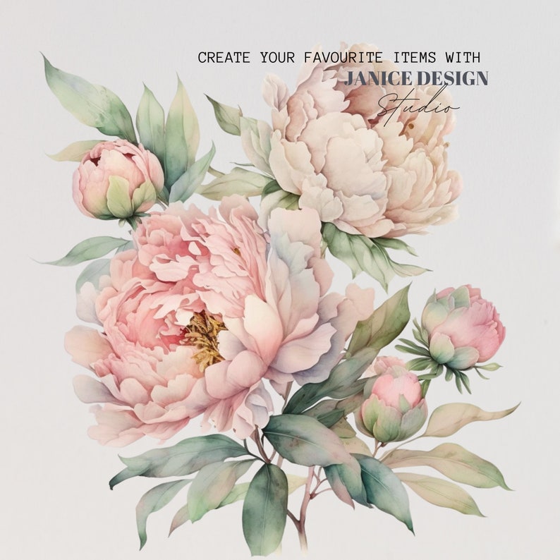 Watercolor Peonies Clipart Peony Clip Art Flower Clipart - Etsy