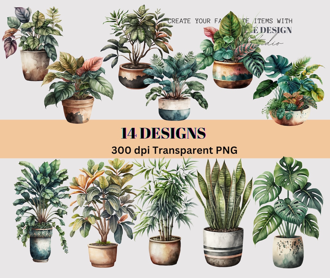 Watercolor Potted Plants Clipart House Plants Watercolor - Etsy