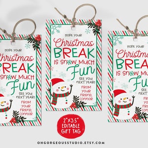 Snow Much Fun Editable Gift Tag | Printable Christmas Gift Tag, Class ...