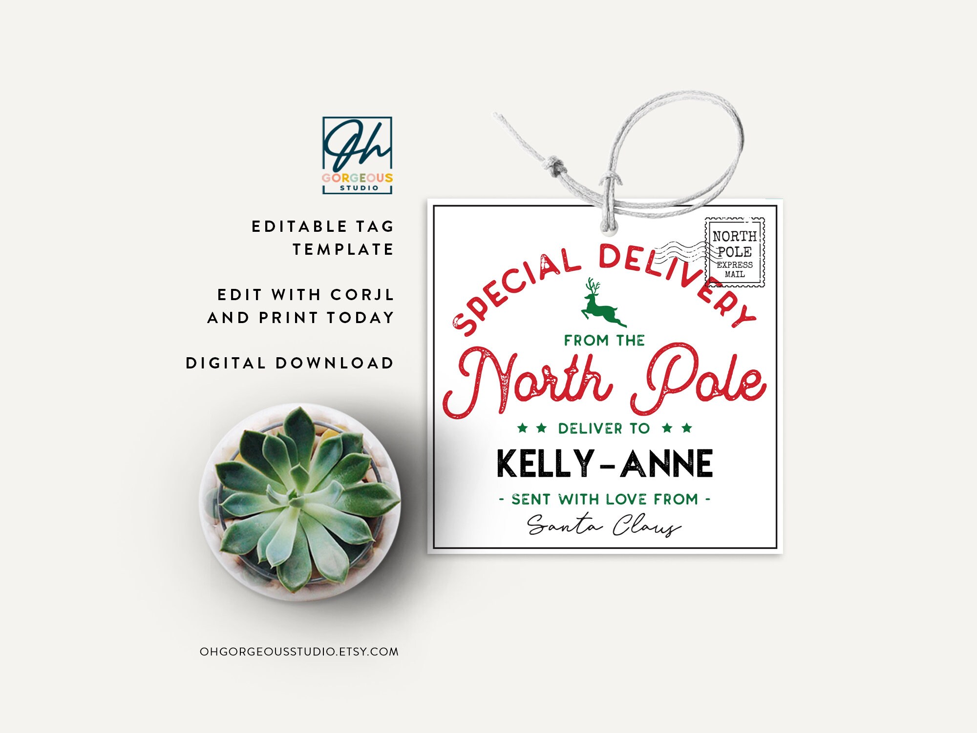 Printable North Pole Special Delivery Tag Template Editable Santa Gift ...
