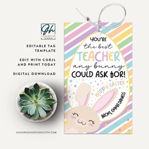 Best Teacher Any Bunny Could Ask for Easter Teacher Appreciation Tag ...