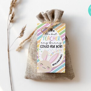 Best Teacher Any Bunny Could Ask for Easter Teacher Appreciation Tag ...